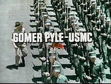 Surprise, Surprise, Surprise! It’s Gomer Pyle USMC. | thewritelife61