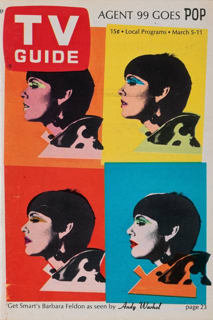 TV Guide “Covers” Our Viewing History | thewritelife61