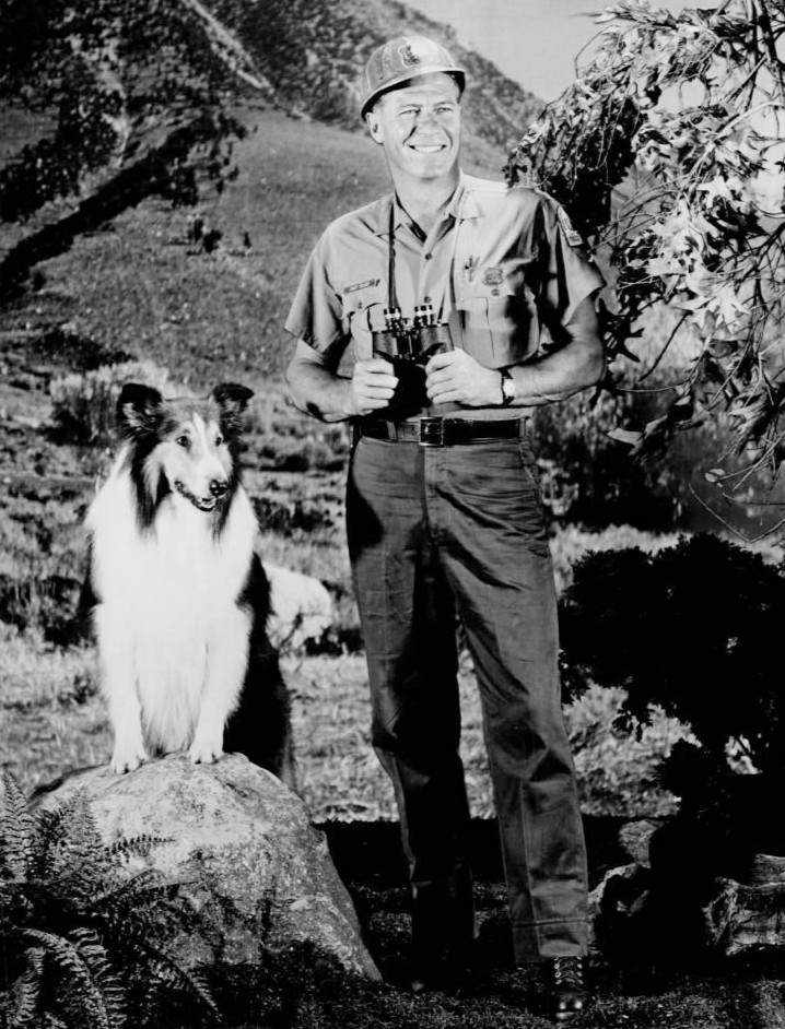 Lassie: This Series Had Five Lives | thewritelife61
