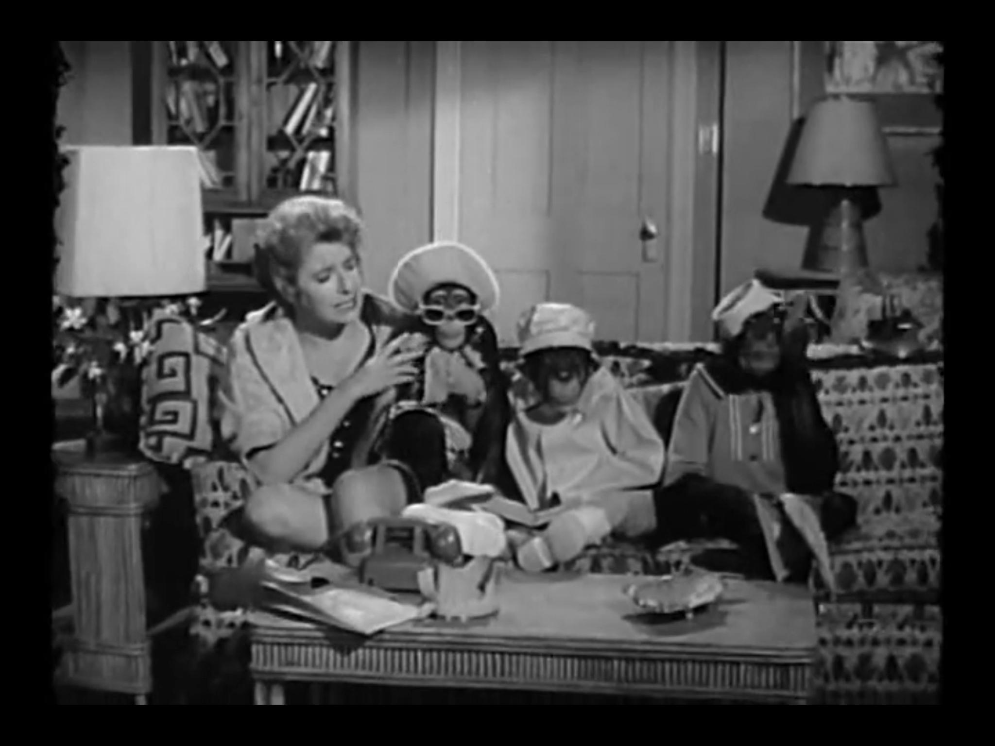 Peggy Cass Has To Tell the Truth | thewritelife61